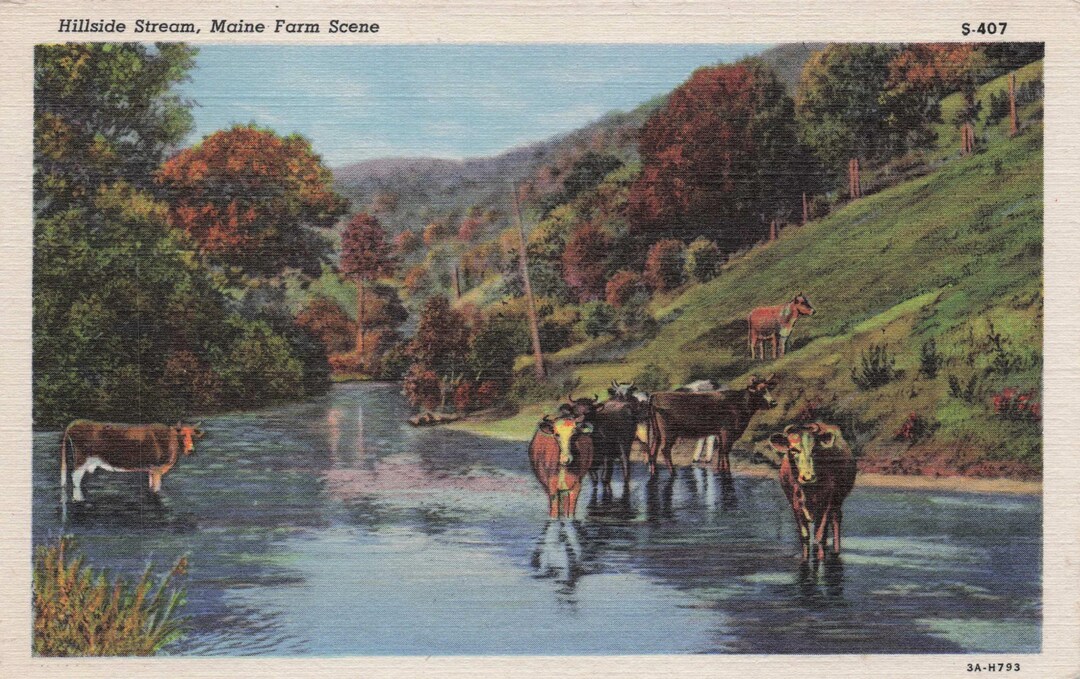 Maine: Vintage Postcard - Hillside Stream, Maine Farm Scene - Rustic Countryside Charm - Etsy