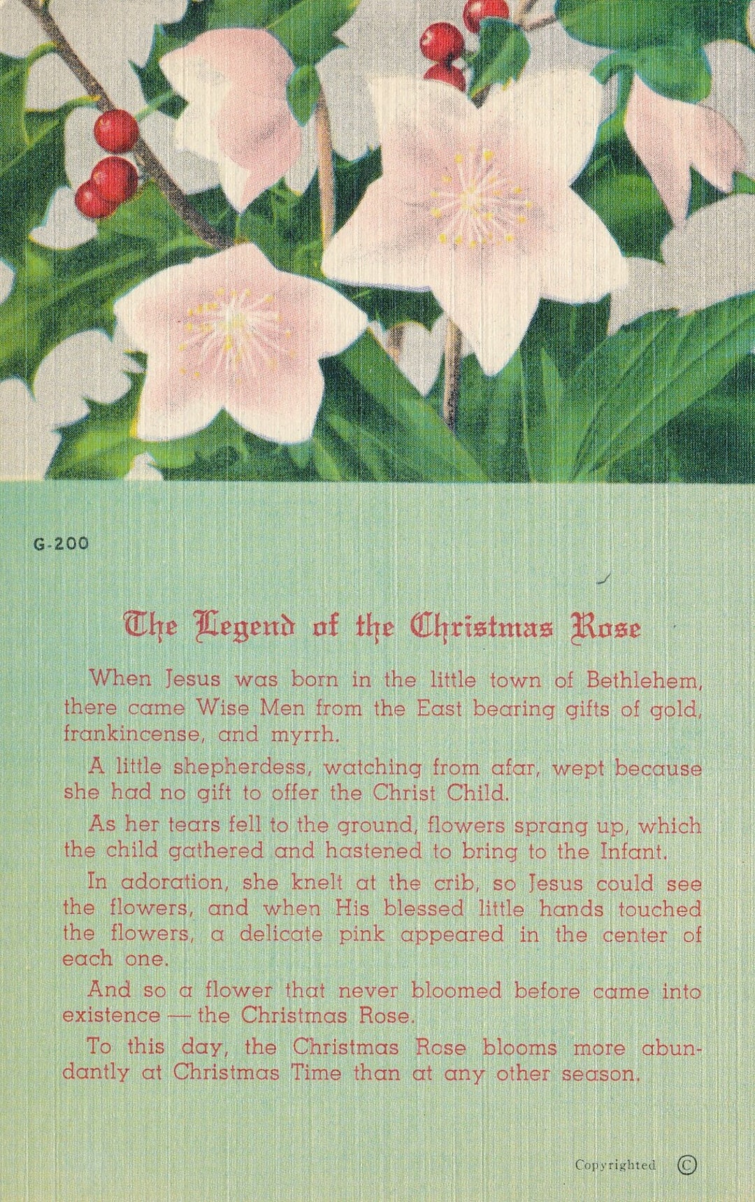 Christmas: the Legend of the Christmas Rose. This Card is - Etsy