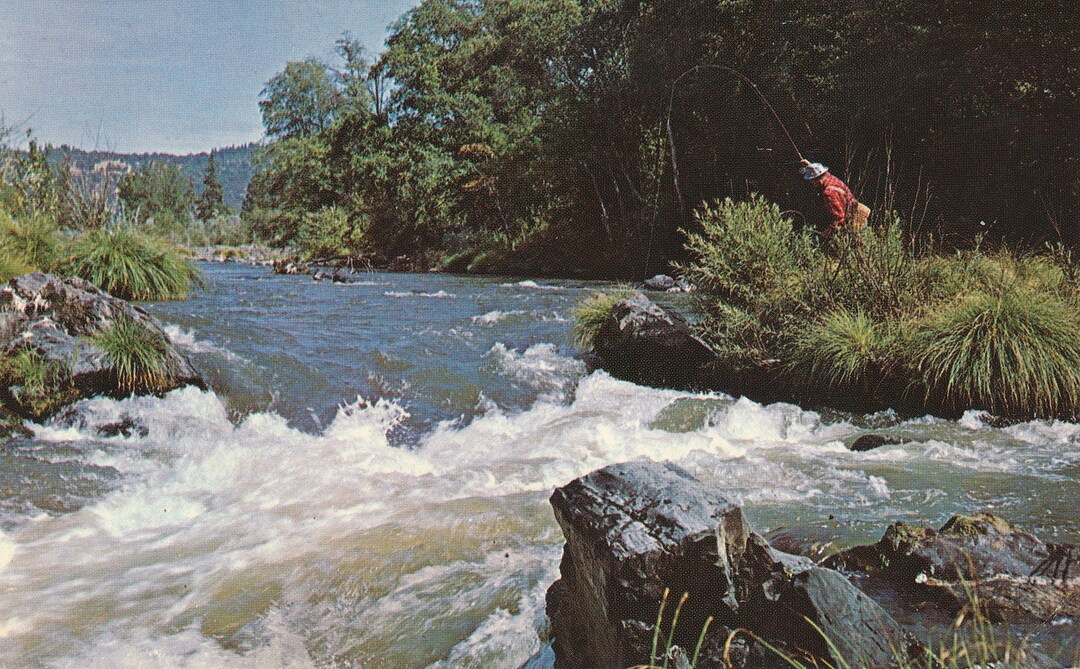 Oregon: Vintage Postcard of Hayes Falls on the the Rogue River in ...
