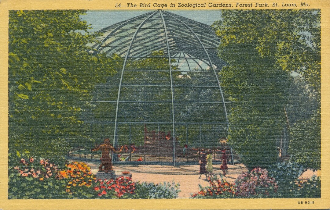 Missouri: Vintage Postcard of the Bird Cage in Zoological Gardens ...