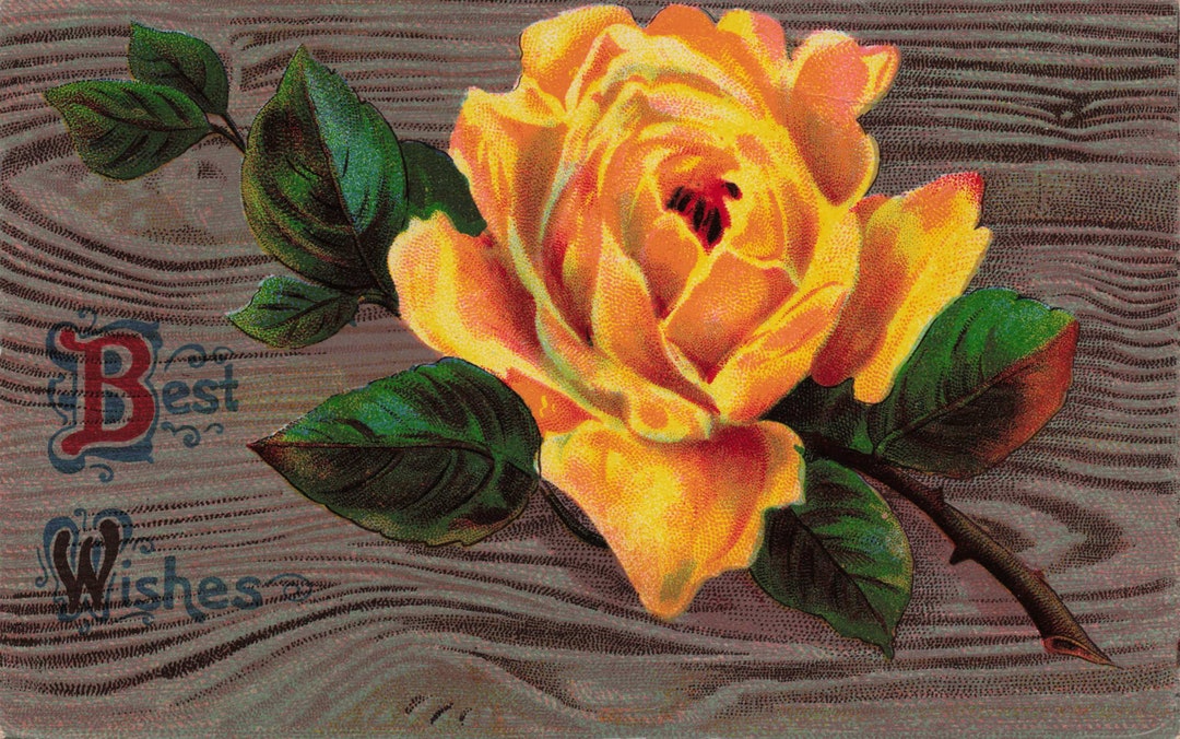 Best Wishes: Antique Best Wishes Postcard With Yellow Rose - Series 514 ...