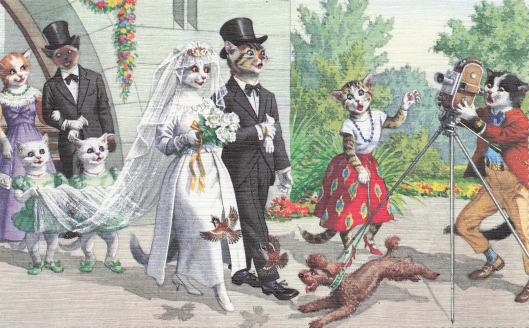Vintage Mainzer Cat Postcard – Hartung Wedding Scene - Etsy