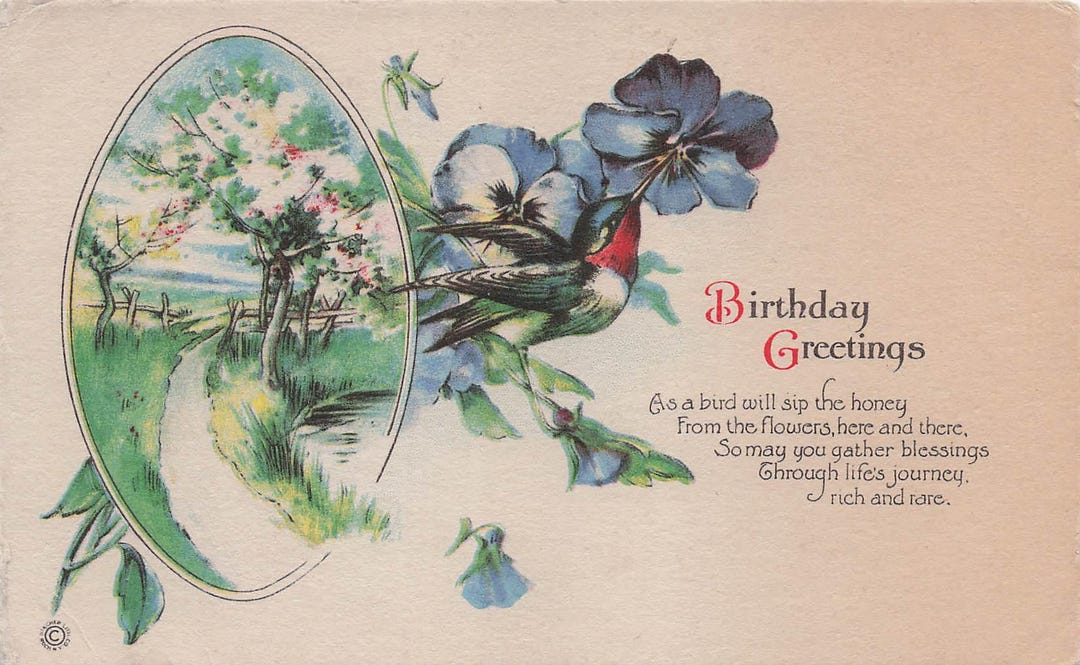 Birthday: Antique "birthday Greetings" Postcard With Hummingbird and ...