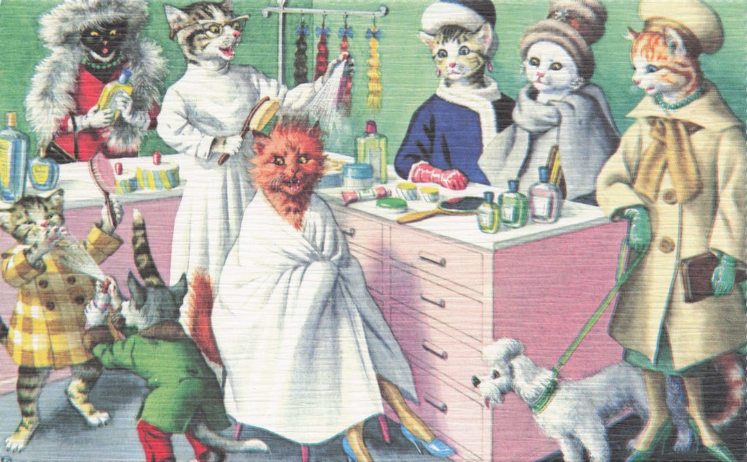 Vintage Alfred Mainzer Cat Postcard – “cat Salon Day” by Eugene Hartung ...