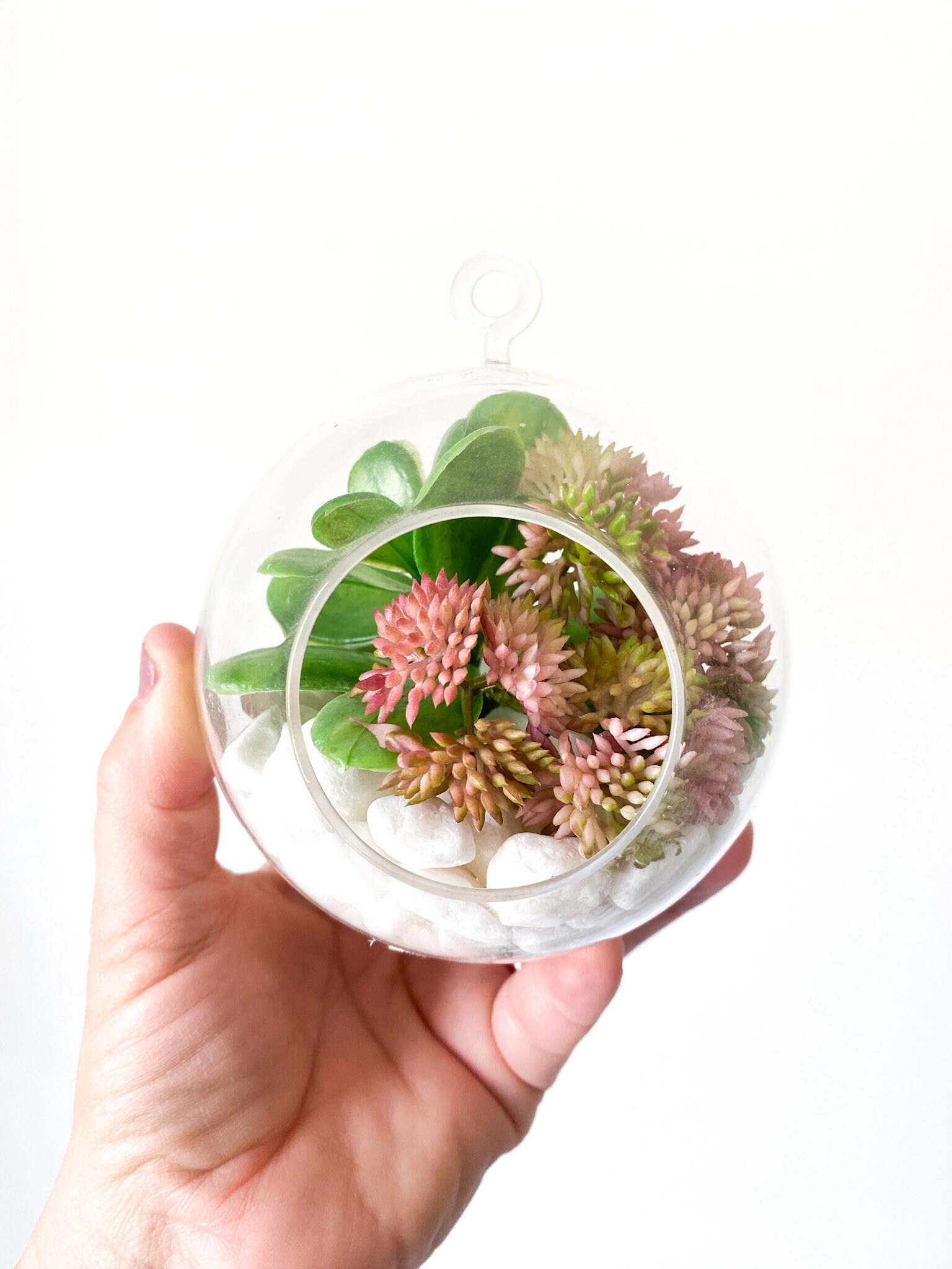 GLASS ONLY: 4 Inch Round Glass Terrarium - Diy Home/office Decor ~ Diy ...