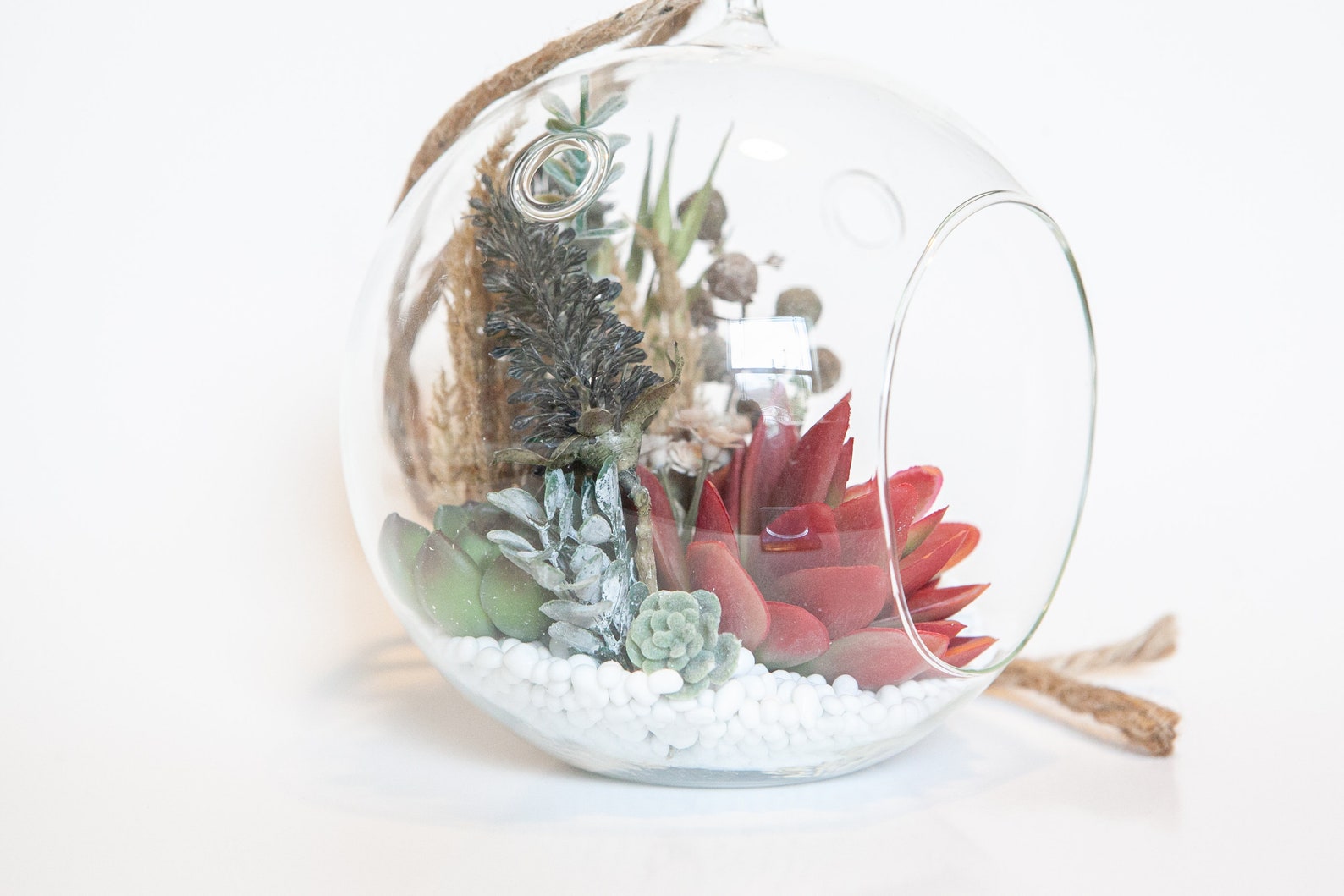 GLASS ONLY: 6" Round Glass Terrarium - Glass Orb Terrarium, Gift ...