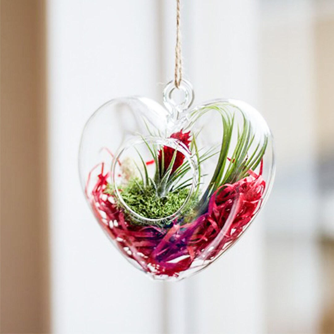5" Hanging Glass Heart Terrarium: DIY Succulent Planter - Etsy