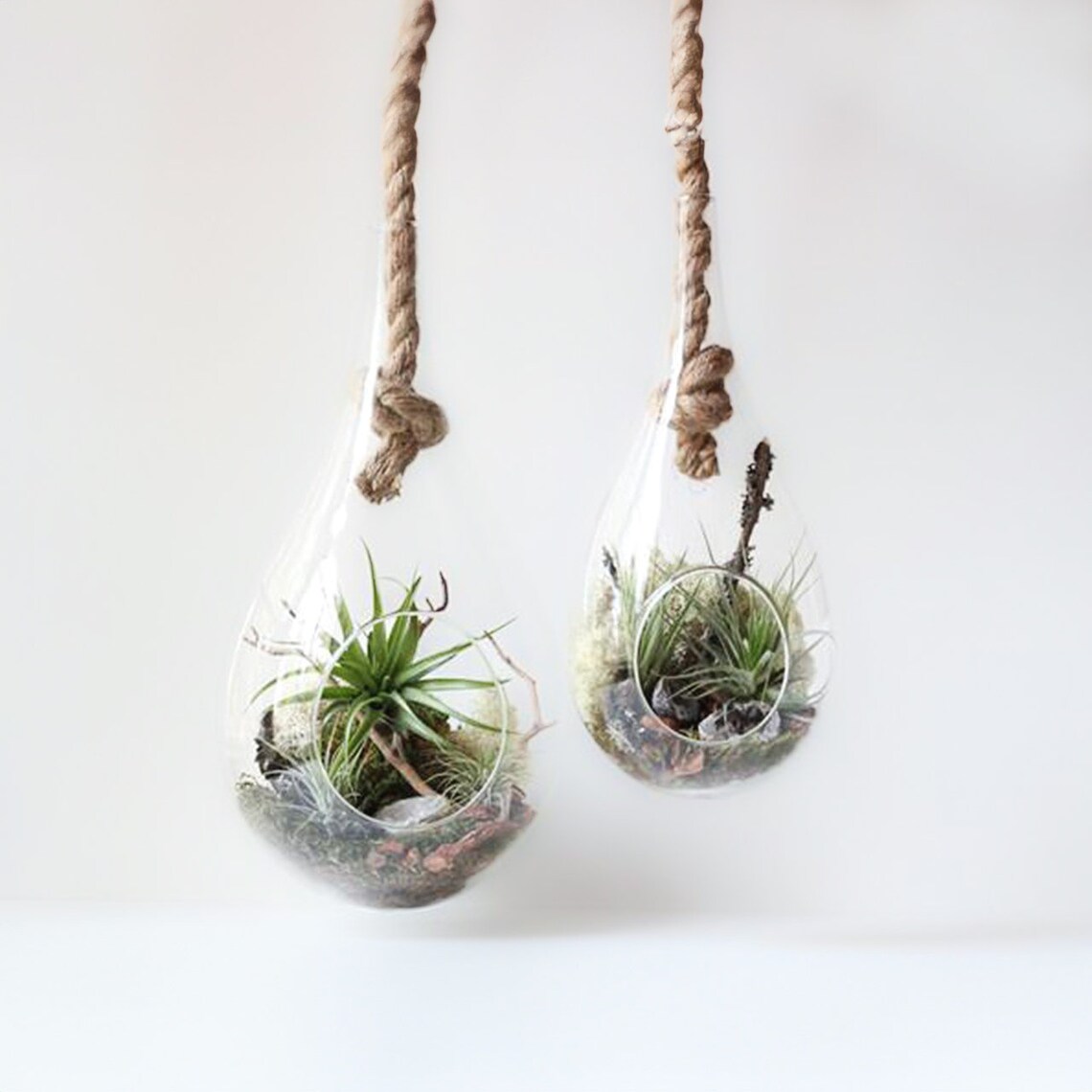 Clear Glass Teardrop Terrarium With Rope: DIY Succulent Planter (5" X 9 ...