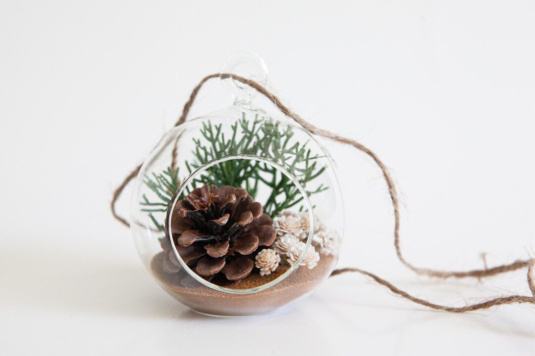 BULK GLASS 0NLY 2.5" Round Glass Terrarium: DIY Hanging Orb - Etsy