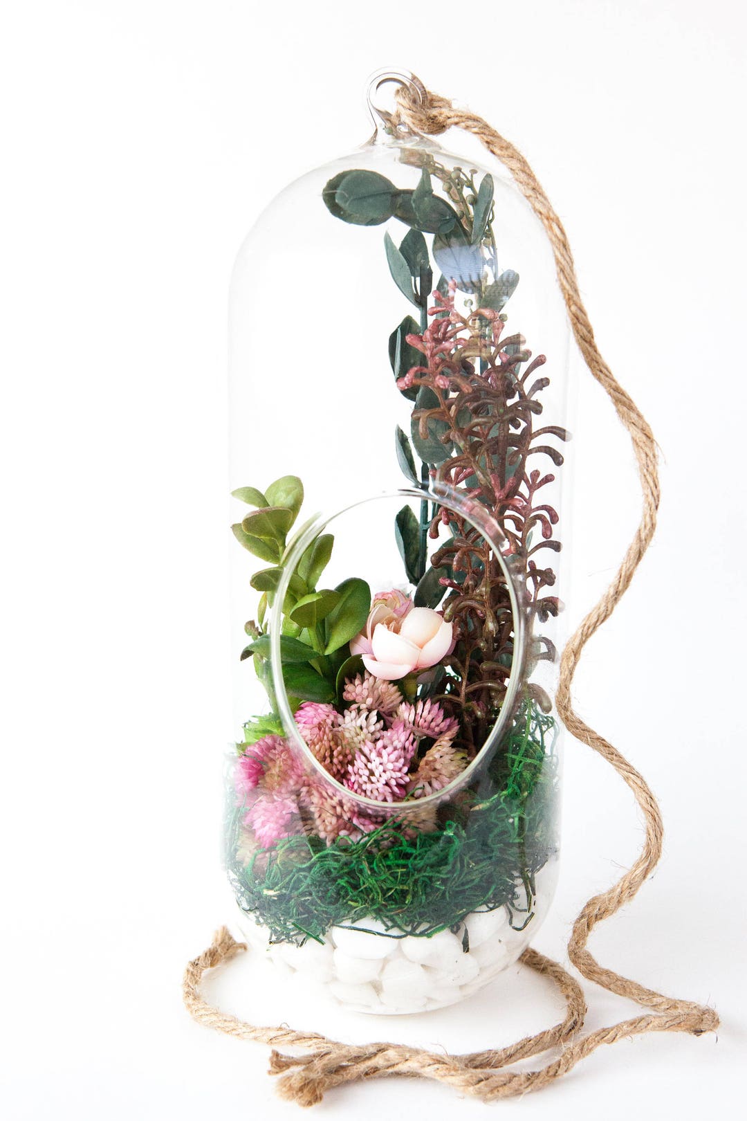 DIY Kit: Artificial Succulent and Sedum Arrangement in 12 Inch Glass ...