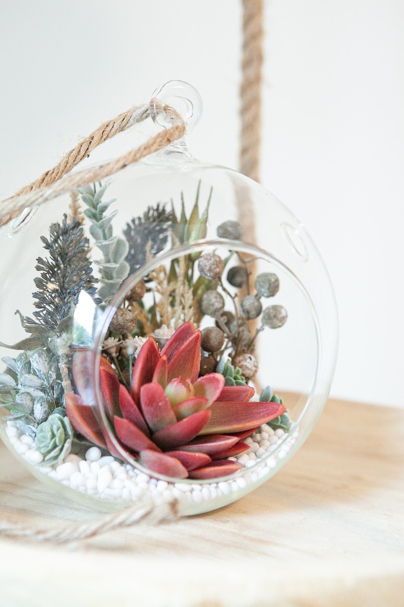 GLASS ONLY: 6" Round Glass Terrarium - Glass Orb Terrarium, Gift ...