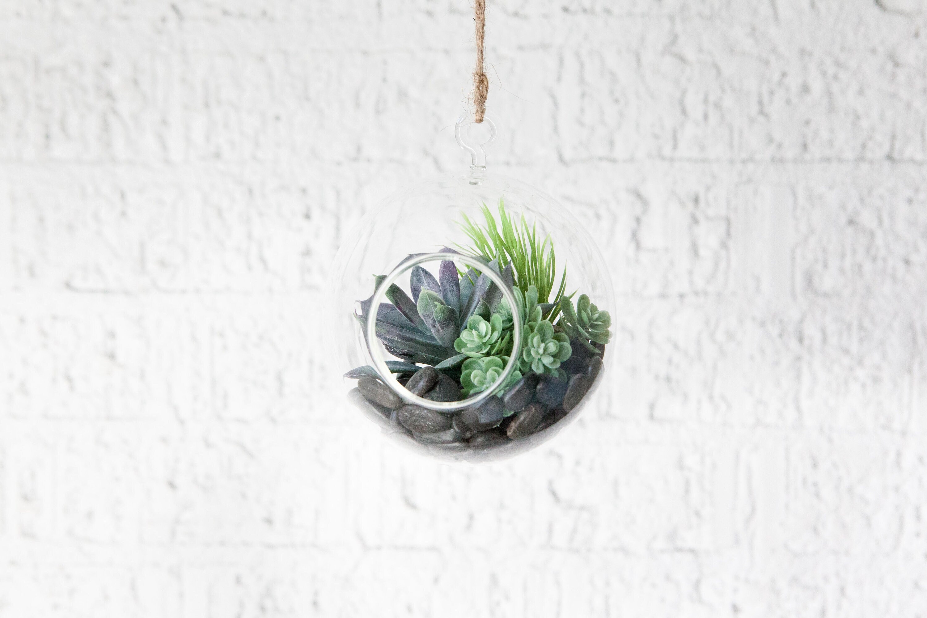 GLASS ONLY: 4 Inch Round Glass Terrarium - Diy Home/office Decor ~ Diy ...