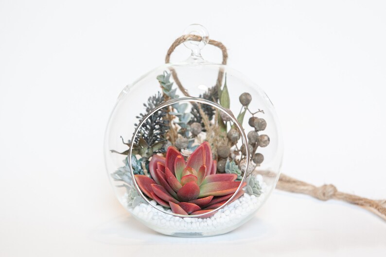 GLASS ONLY: 6" Round Glass Terrarium - Glass Orb Terrarium, Gift ...