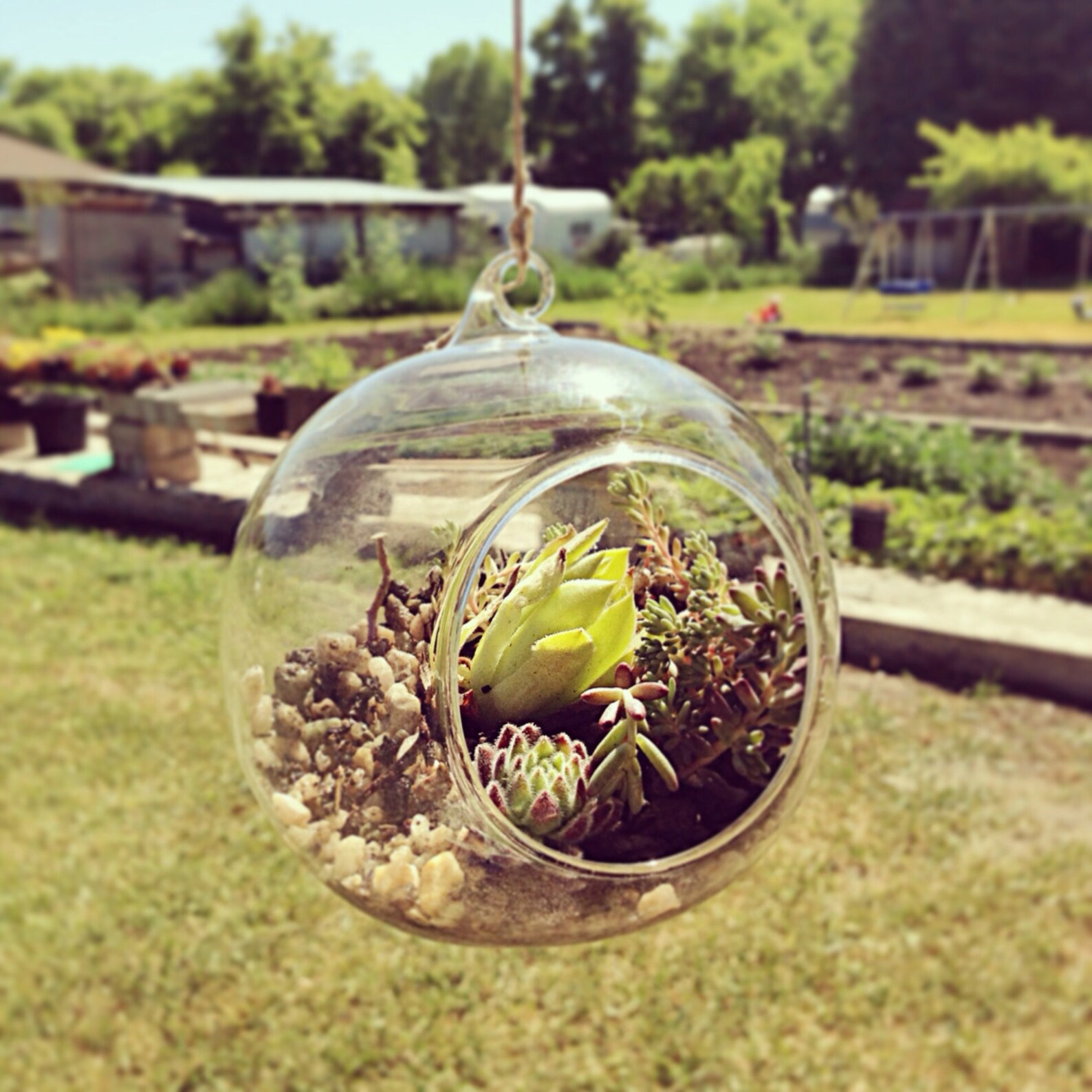 GLASS ONLY: 4 Inch Round Glass Terrarium - Diy Home/office Decor ~ Diy ...