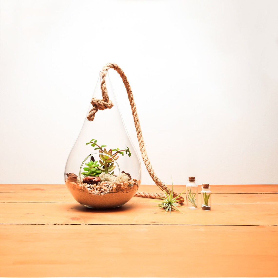 Clear Glass Teardrop Terrarium With Rope: DIY Succulent Planter (5" X 9 ...