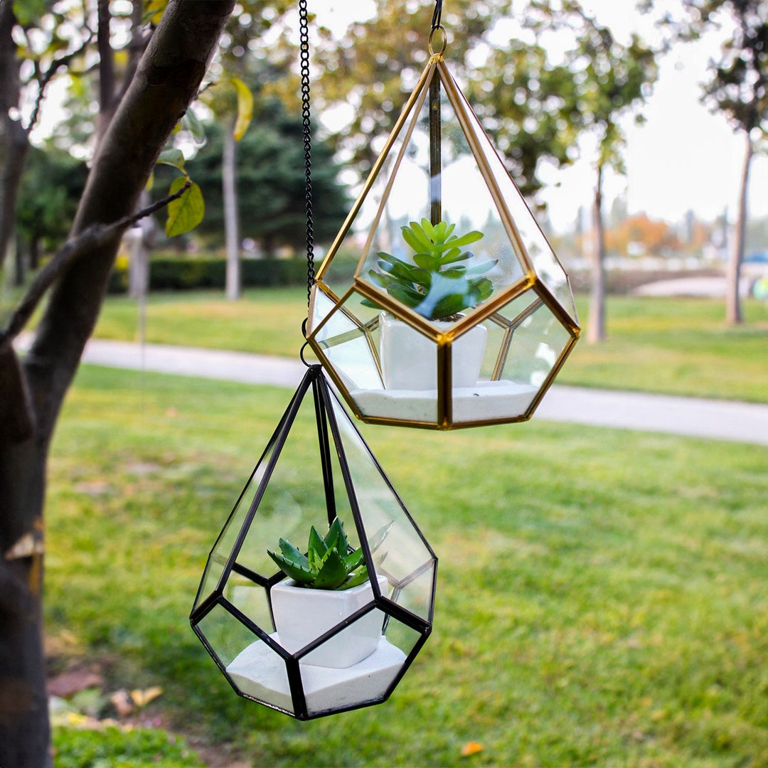 Tear Drop Geometric Terrarium: Black or Gold Glass Succulent Planter (8 ...