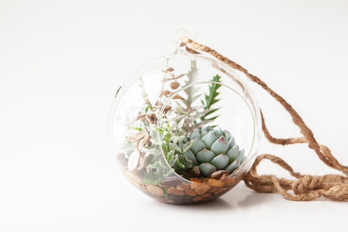 GLASS ONLY: 8" Round Glass Terrarium - Glass Orb Terrarium, Gift, Large ...