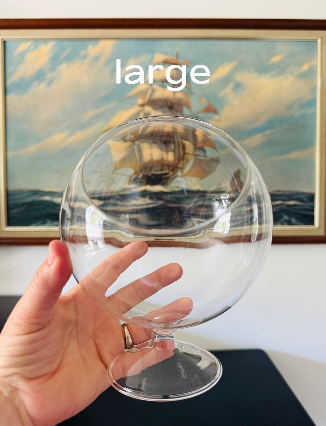 Slant Bowl Glass Terrarium: Succulent Planter, Office Desk Decor - Etsy