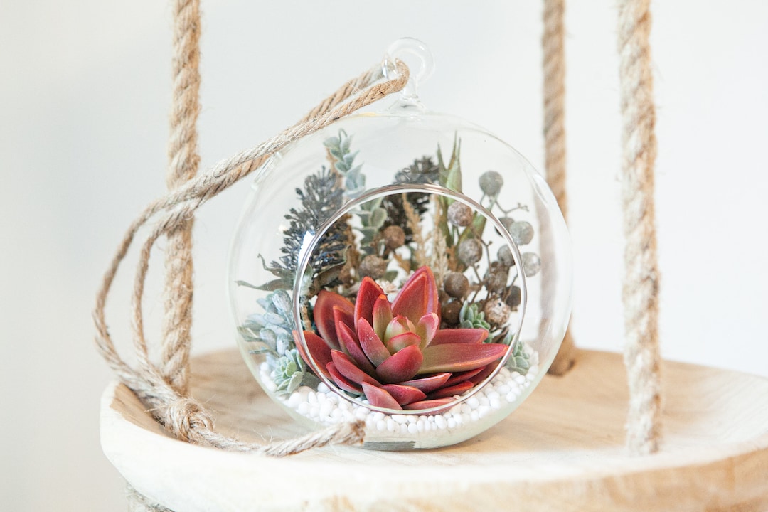GLASS ONLY: 6" Round Glass Terrarium - Glass Orb Terrarium, Gift ...