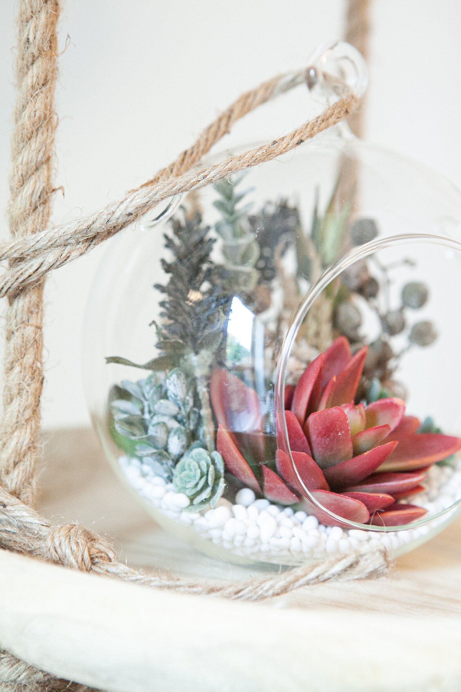 GLASS ONLY: 6" Round Glass Terrarium - Glass Orb Terrarium, Gift ...