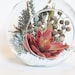 GLASS ONLY: 6 Round Glass Terrarium Glass Orb Terrarium, Gift ...