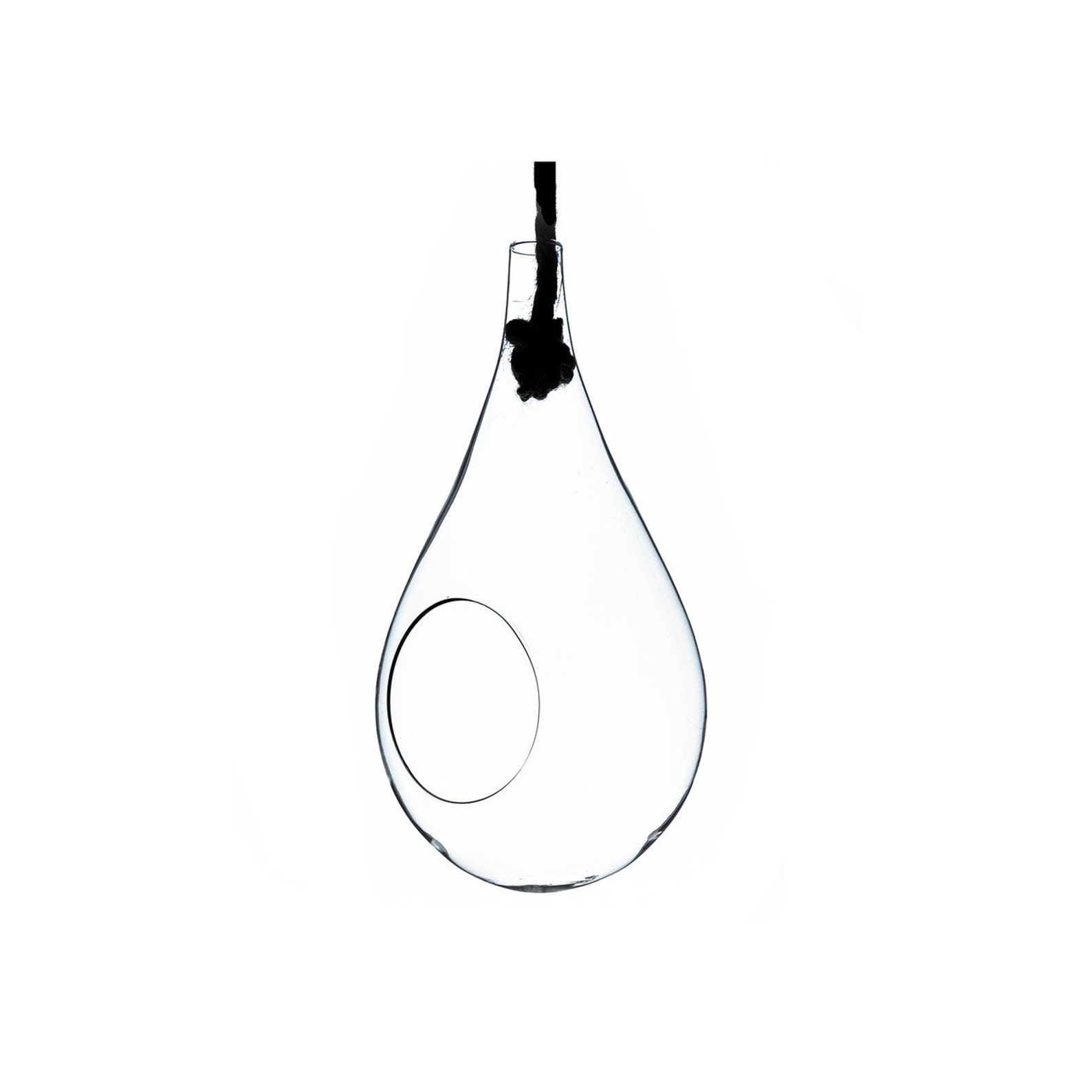 Clear Glass Teardrop Terrarium With Rope: DIY Succulent Planter (5" X 9 ...