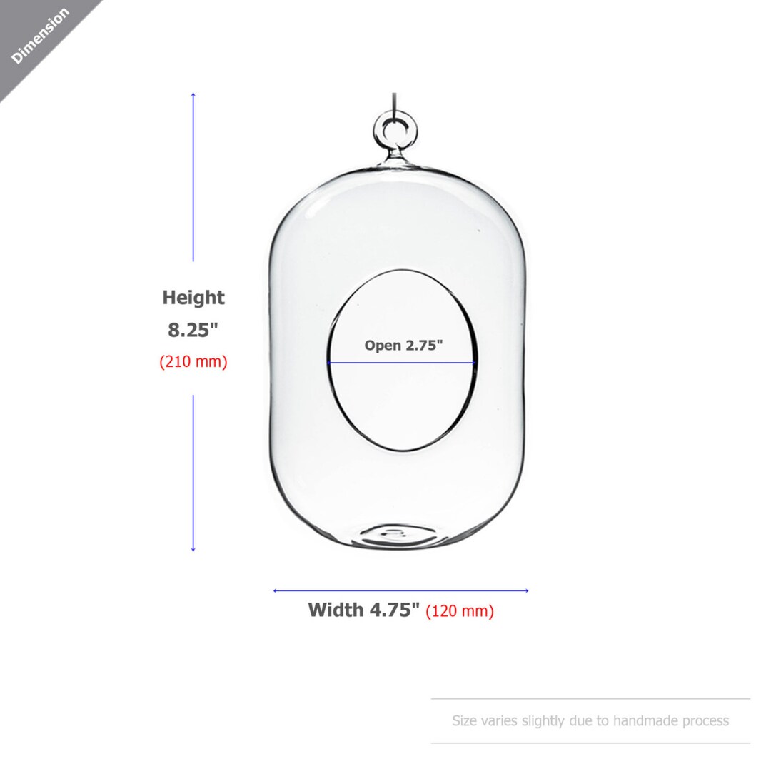 GLASS ONLY: Cylinder Terrarium - 5"x8" Height - Glass Hanging Terrarium ...