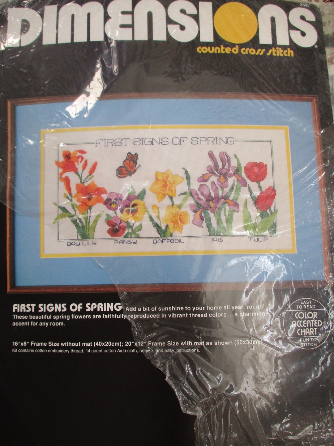 Dimensions First Sign of Spring Kit 16 X 8 Inches - Etsy