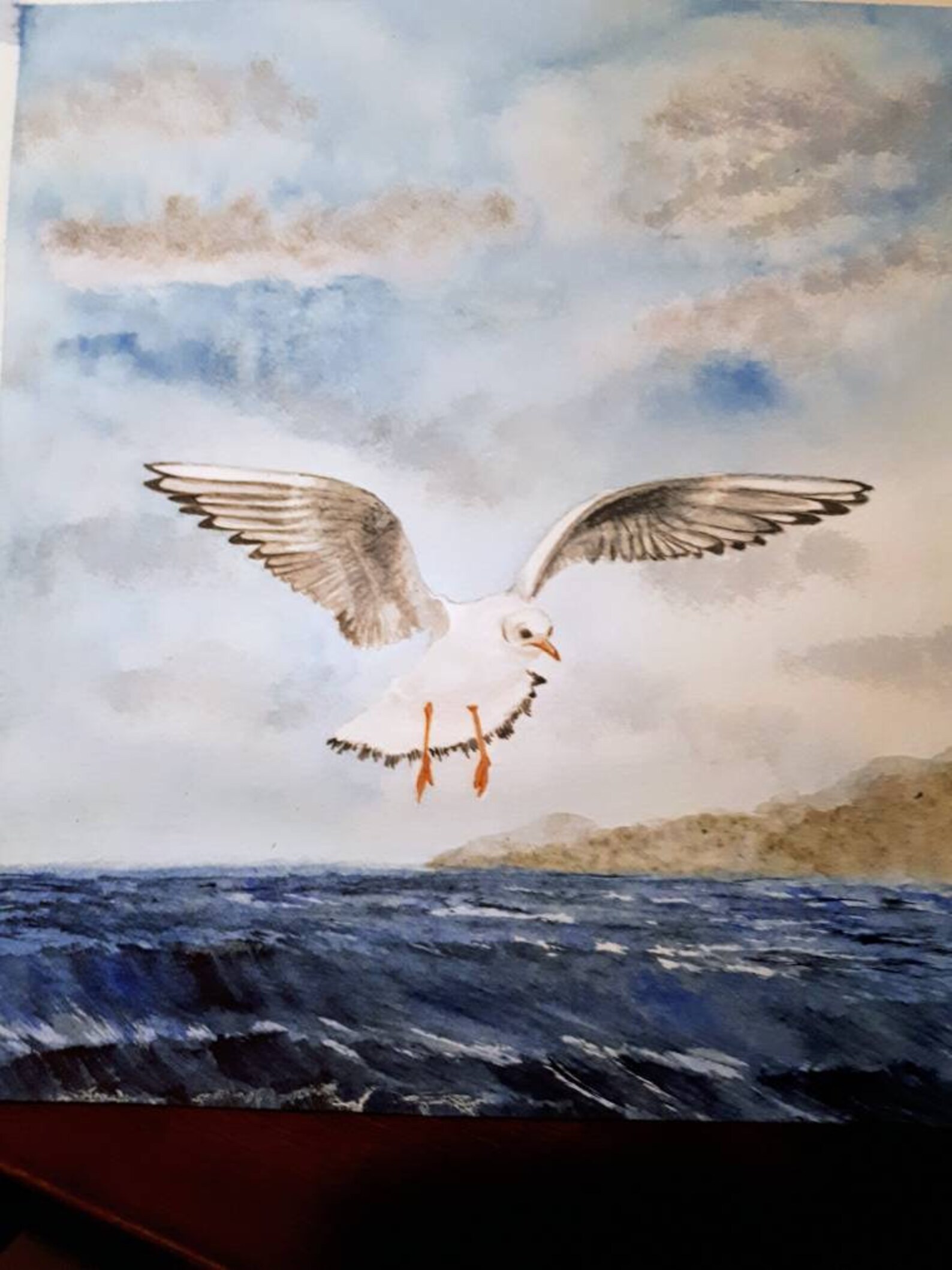 Original Watercolor Seagull - Etsy