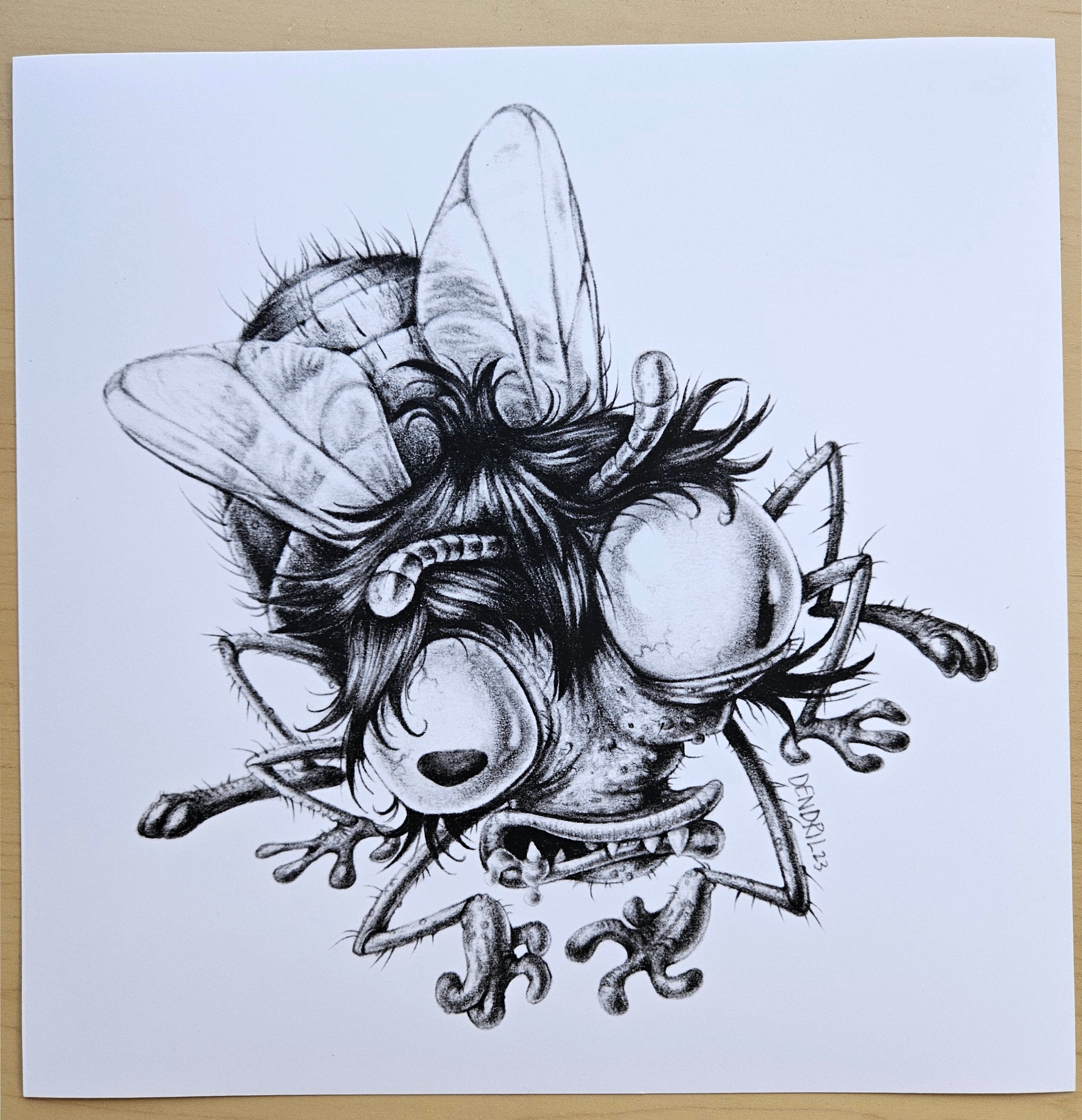 Fly Pencil Drawing 8x8 Giclee Print - Etsy