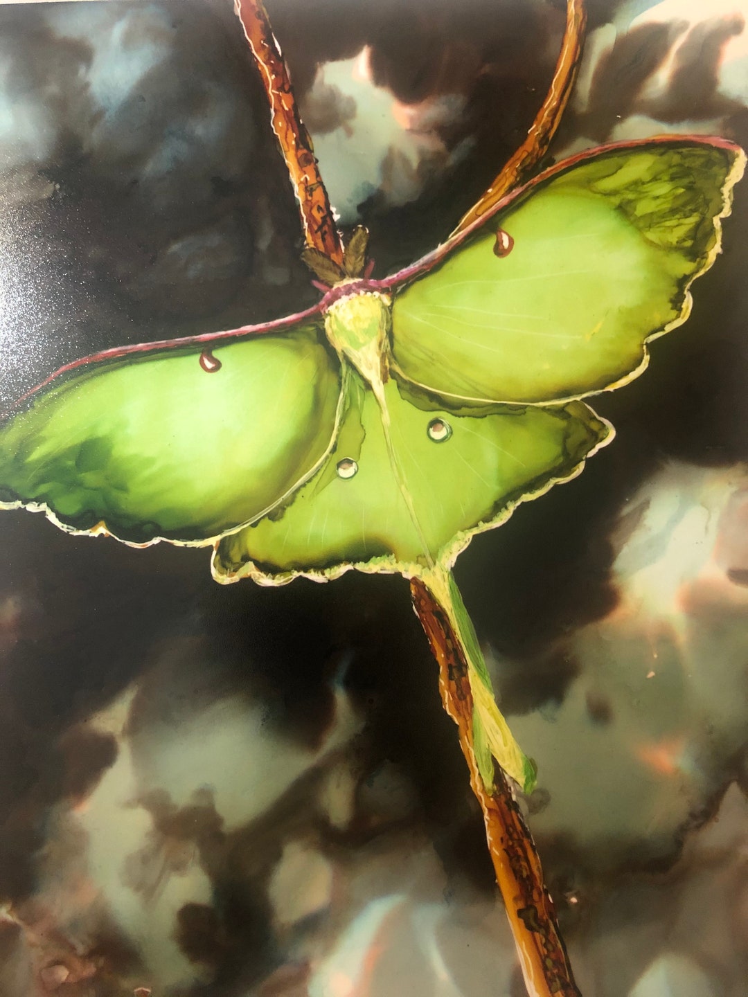 Luna Moth Alcohol Ink Art Art Print Wall Art 8 X 10 Wall - Etsy