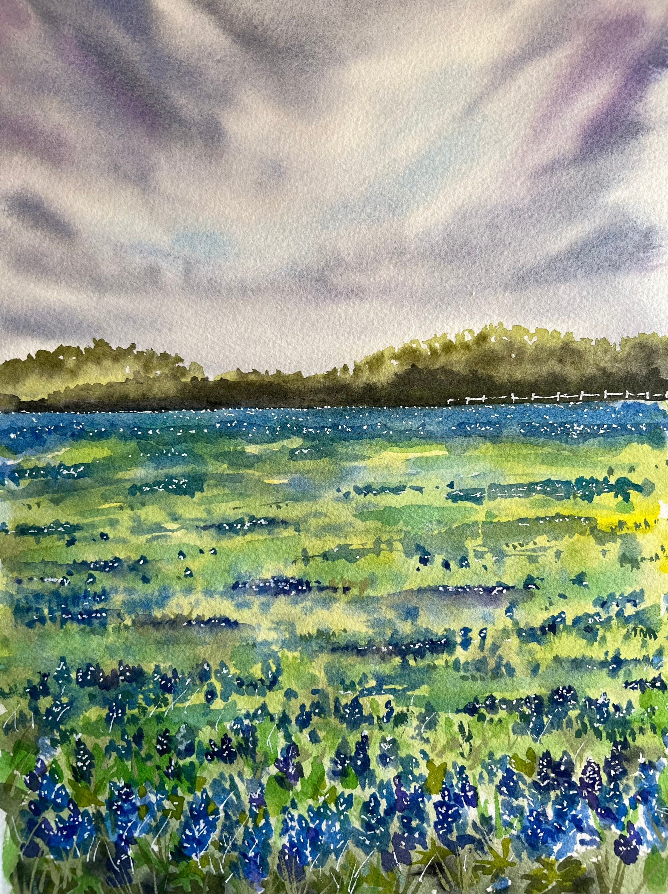 Bluebonnet Watercolor Art, Original and Prints, Texas Hill Country ...