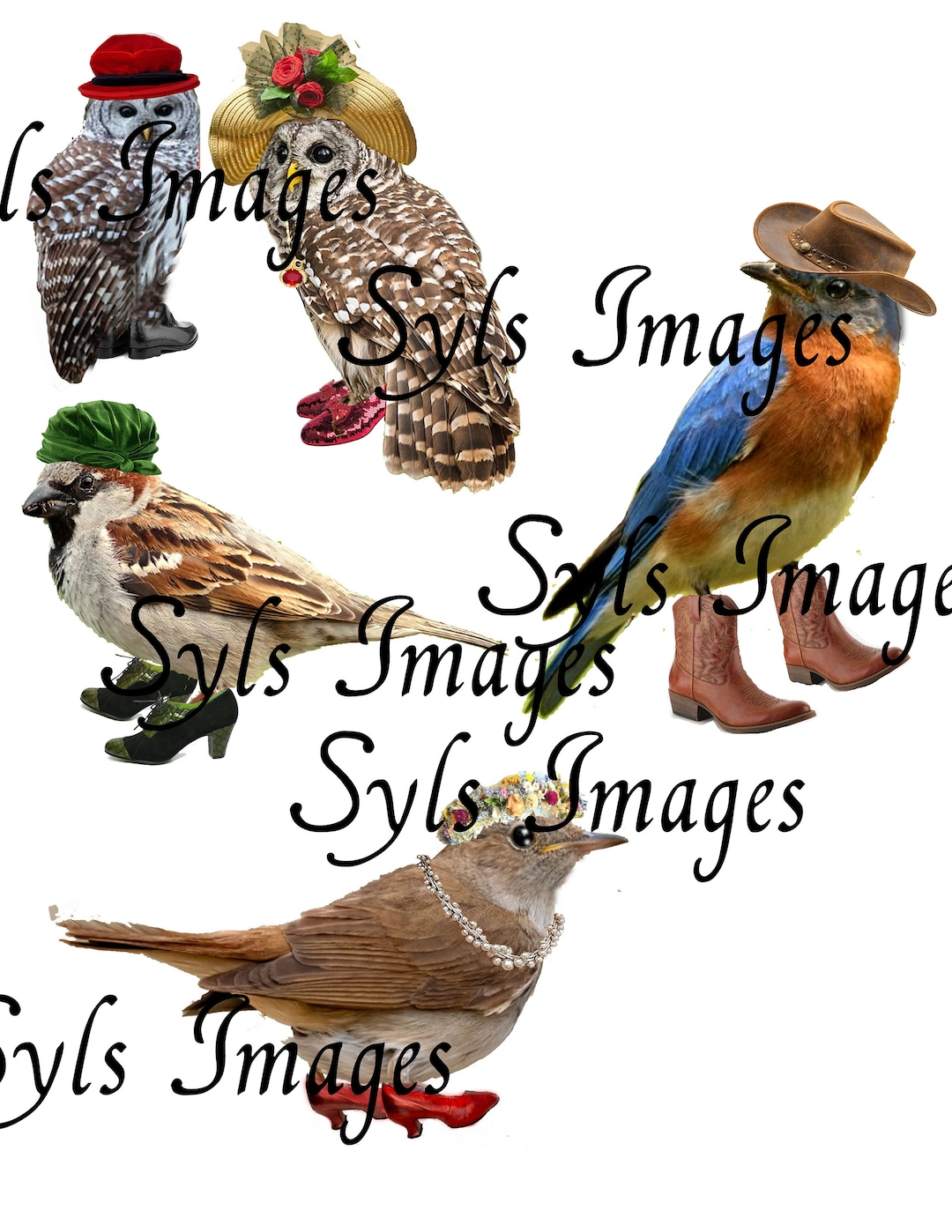 Digital Download- Birds With Shoes- Boots - Etsy
