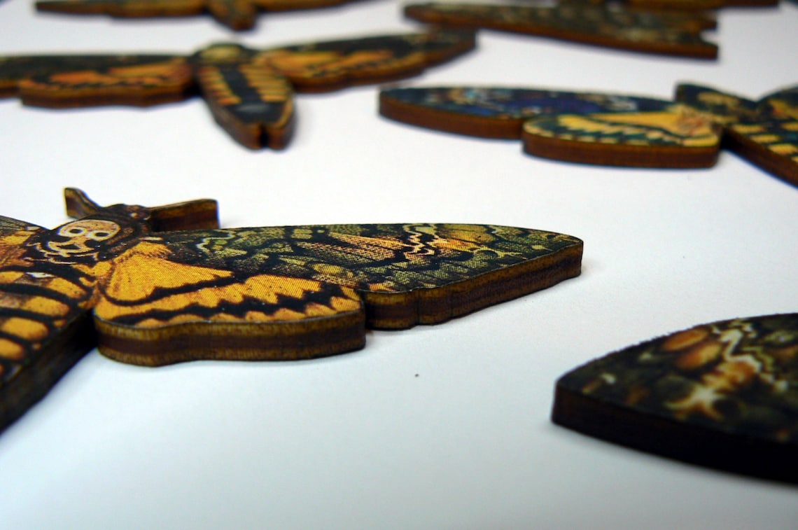 Bunch of Large Moths Wood Cut Outs- Die Cuts - Etsy