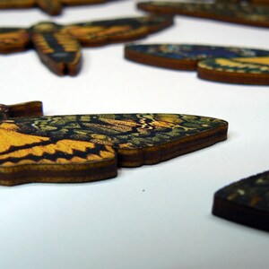 Bunch of Large Moths Wood Cut Outs- Die Cuts - Etsy