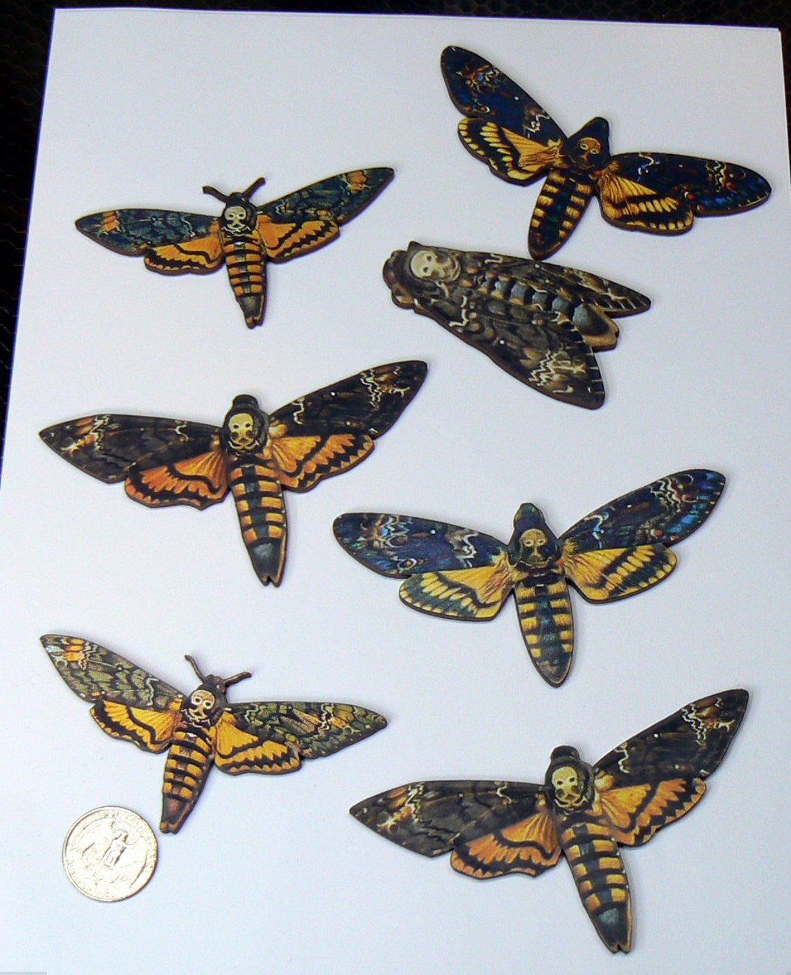 Bunch of Large Moths Wood Cut Outs- Die Cuts - Etsy