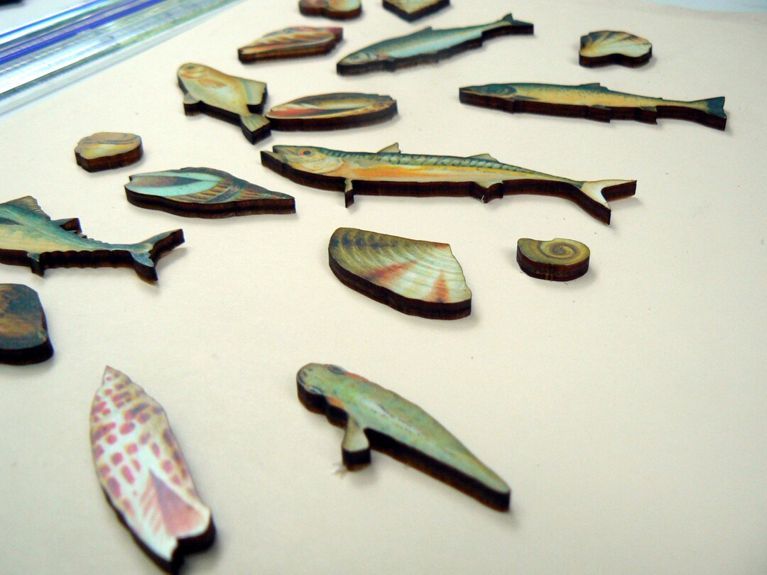 Fish, Fish, More Fish and Shells Wood Cut Outs. - Etsy