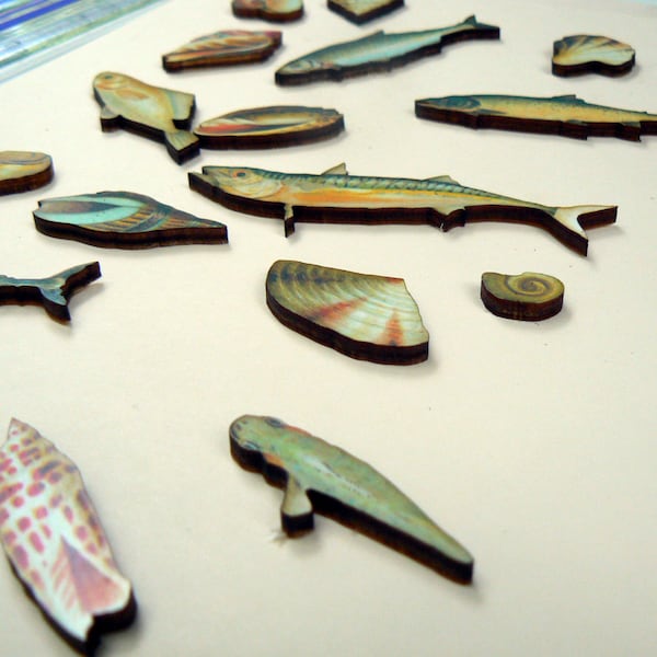 Fish Cut Out - Etsy