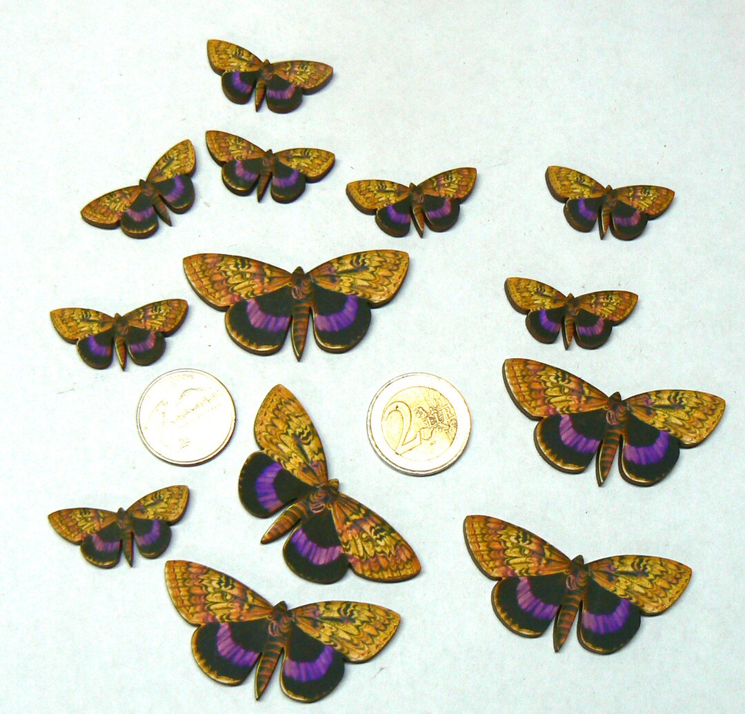 13 Moths Wood Cut Outs - Etsy