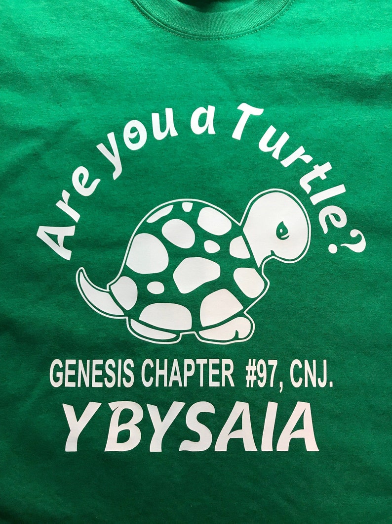 Are You a Turtle? Shirt - Etsy