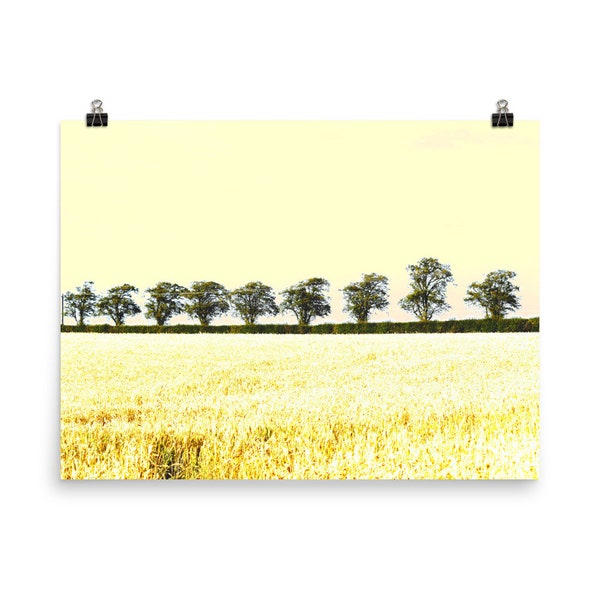 Primrose Hill Print - Etsy UK