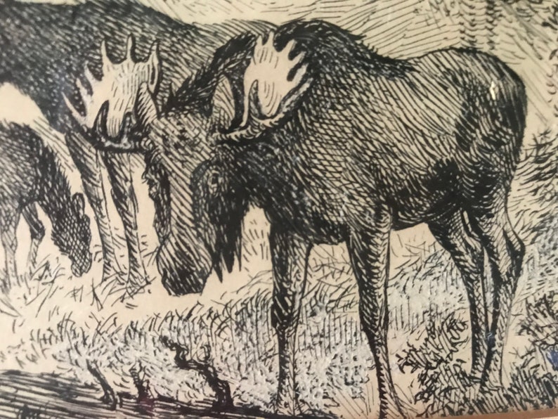 Vintage Pen and Ink Print Matted and Gold Framed Moose and - Etsy