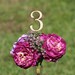 Table Numbers | Rustic Table Numbers | Wooden Table Numbers | Wedding ...
