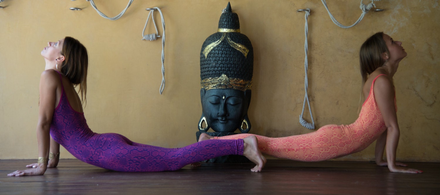 CATSUIT Fuchsia Purple Snake Unitard Body Suit Yoga Wear Leotard Dance ...