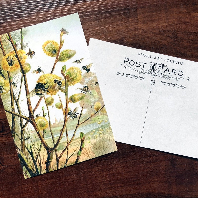 Antique Postcards Chicago - Etsy