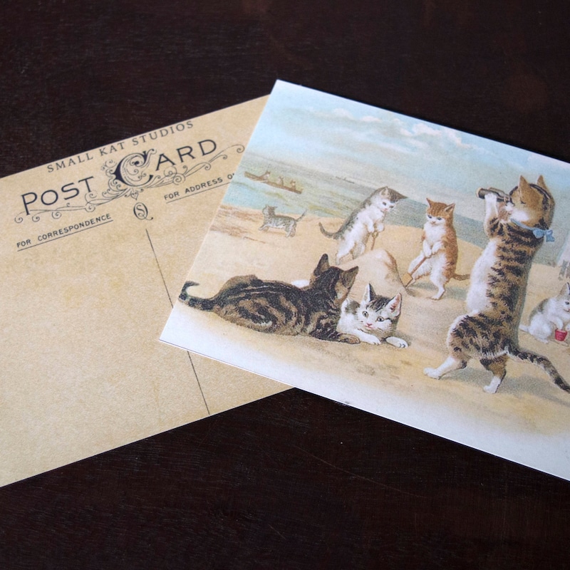 Cat Vintage Postcards - Etsy