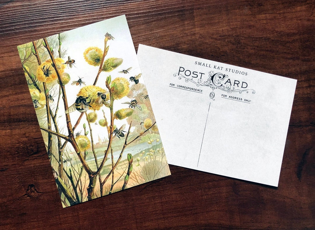 Vintage Bee Postcard: Nature Lover Gift, Antique Reproduction - Etsy