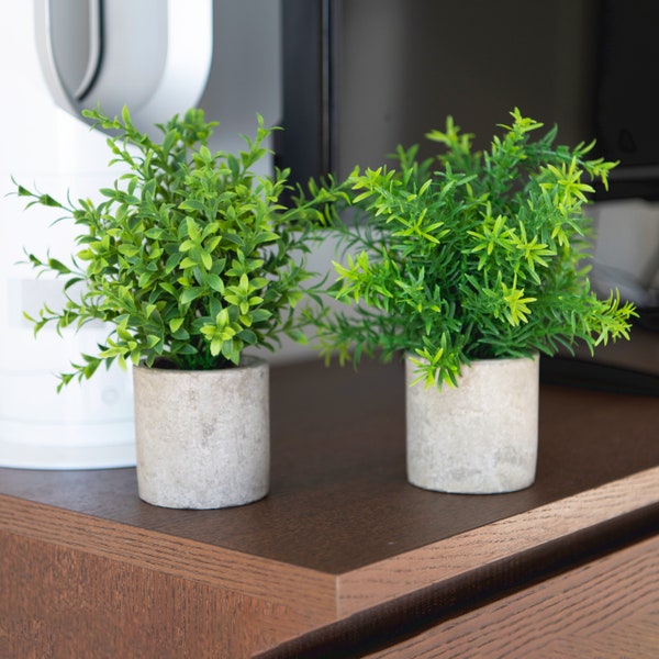 Fake Plants - Etsy
