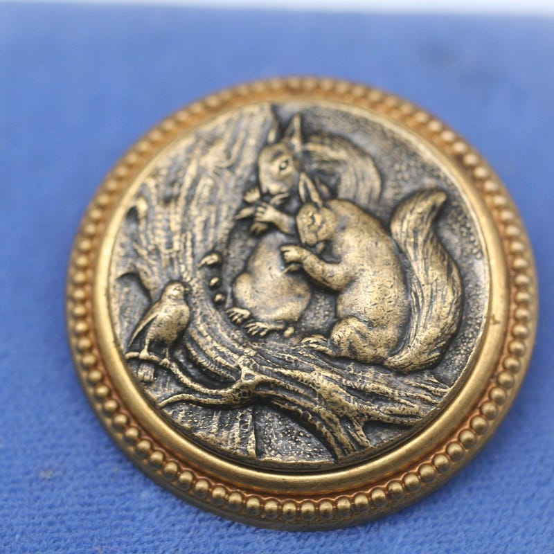 Squirrel Brooch - Etsy