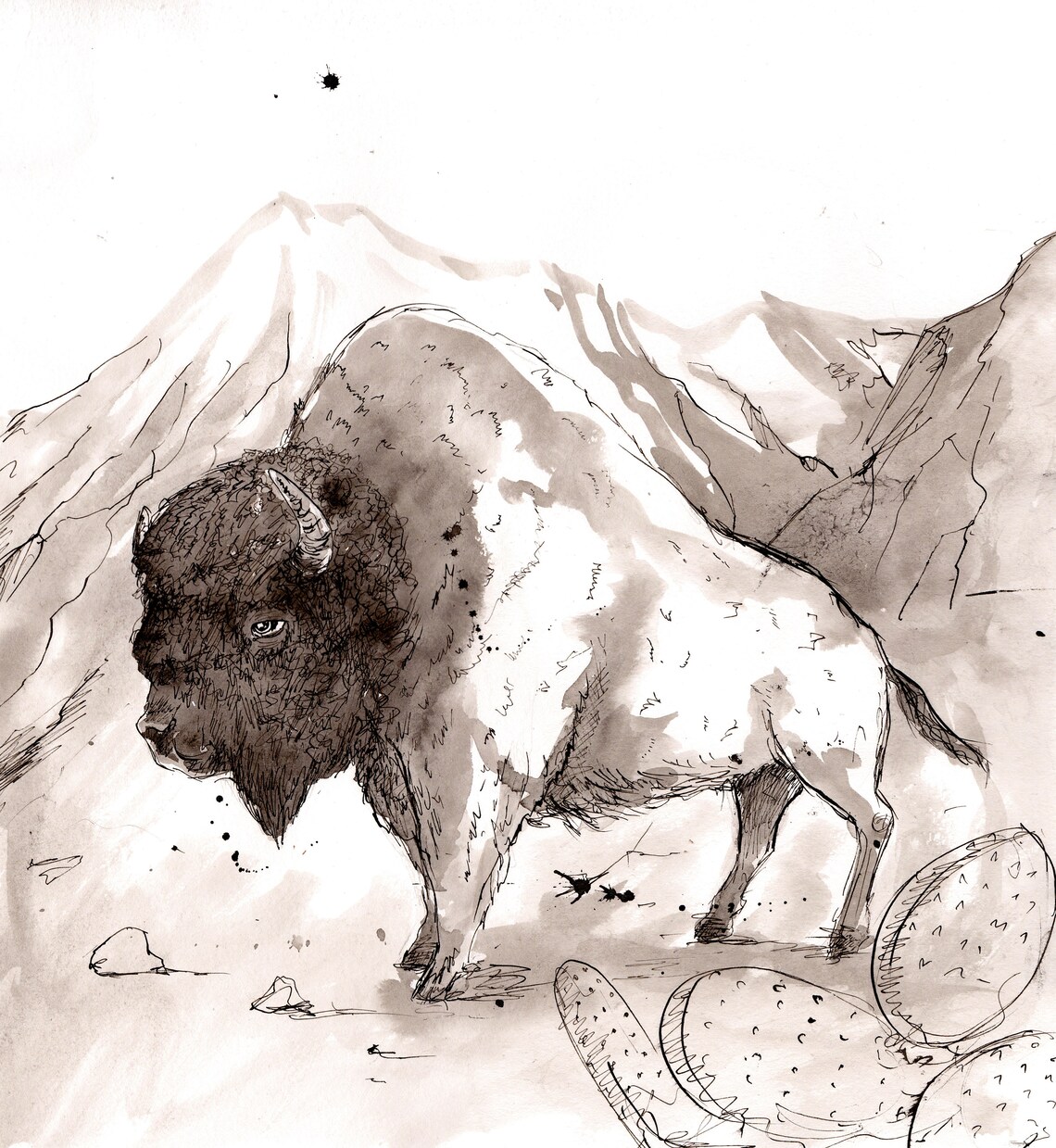 Bison Print, Bison Art, Buffalo Art, Buffalo Drawing, Ink Drawing ...